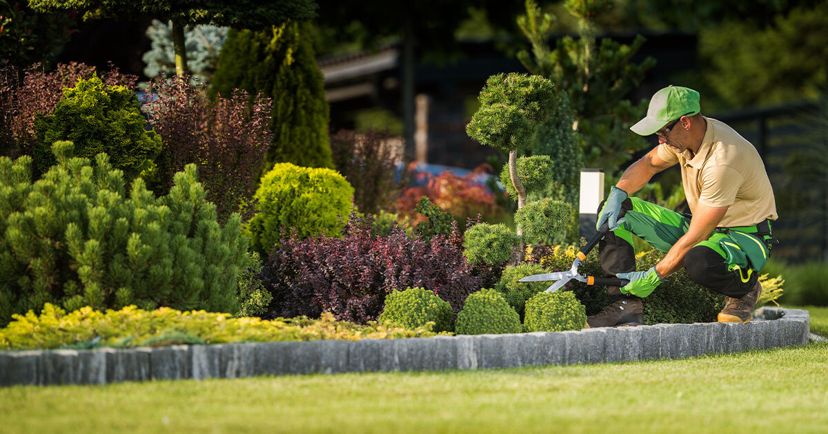 Top 10 Landscape Design Companies In Lakewood, CO