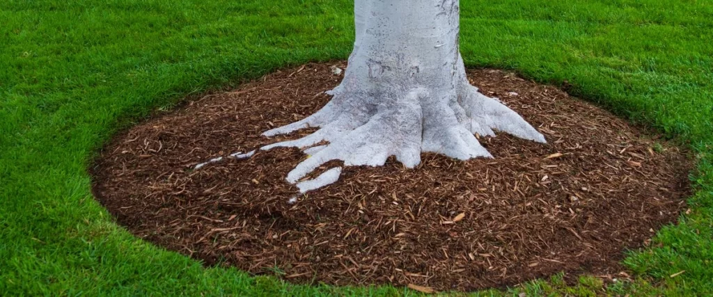 The Eco-Friendly Approach of a Colorado Landscape Architect - Land ...