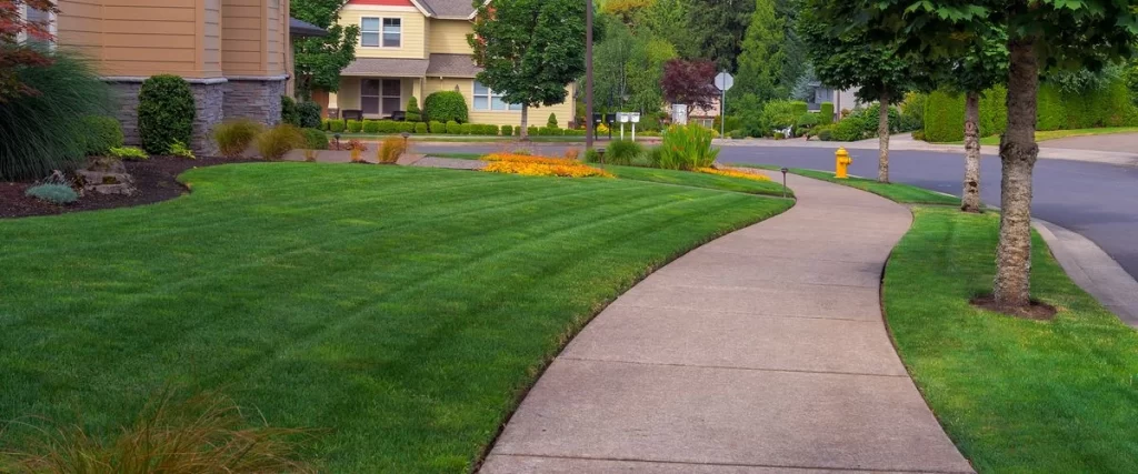 The Eco-Friendly Approach of a Colorado Landscape Architect - Land ...